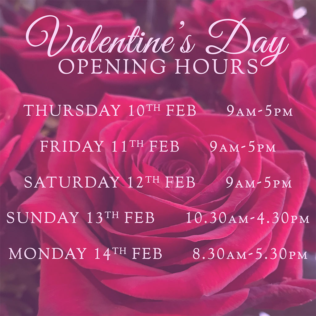 Valentine s Day Shop Opening Hours Regency Flowers Valentine s Day Shop Opening Hours Regency Flowers